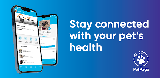 Pet Portal | Hampton Veterinary Hospital